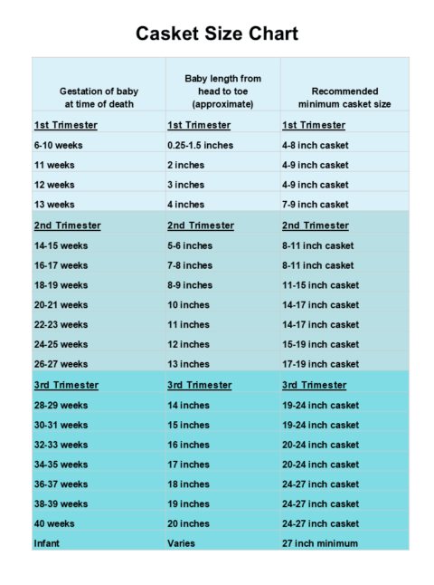 Casket Size Chart – Guide by Baby Gestation and Length | Heaven's Gain ...